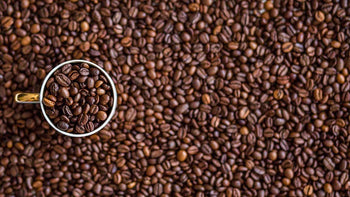 Caffeine Statistics 2025 - Consumption, Health Effects & Trends – MELO ...